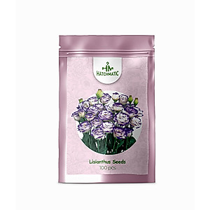 Lisianthus Seeds for Planting, Lisianthus Flower Seeds, Vibrant Blooms for Garden & Bouquets, Easy-to-Grow Variety (Pack of 100 Seeds) (Mixed)