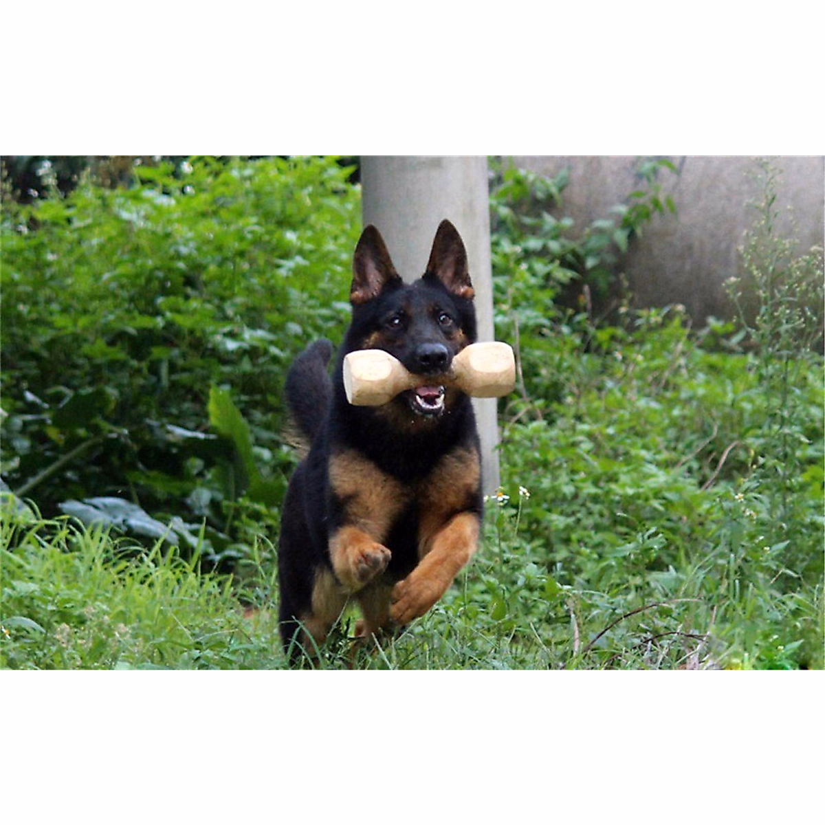 Kuntrona Safe Non-Toxic Wooden Dog Training Dumbbell Pet Bite Toys for Dogs Outdoor Interactive Supplies S M Burlywood 15X4.8CM