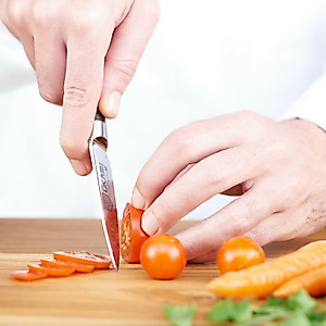 Paring Knife 3.5 inch by Okami Knives, Japanese VG10 Stainless Steel, Damascus Kitchen Blade