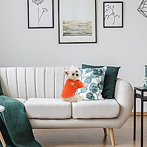 GLSTOY Decorative Outfits Autumn Warm Pattern Winter Stretchy Shirts Sweater Clothes Dogs Cold and Outdoor Clothes: Pet Cloth M Legged Thickening Two Fruit Clothing, Comfortable