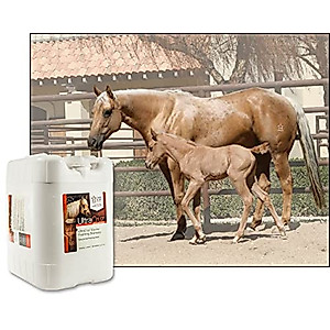 UltraCruz Equine Foaming Horse Shampoo, 5 Gallon Refill