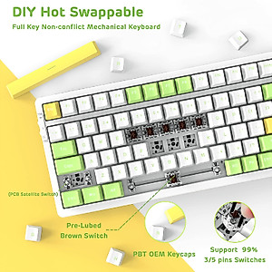 A.JAZZ AK992 99Keys Hot Swappable,Bluetooth/2.4G/Wired,Gasket Mount,RGB Backlight,Mechanical PC Gaming Keyboard,Coiled USB C Cable,Custom Clicky Switch,Knob Control,PBT Keycaps(Spring Green)