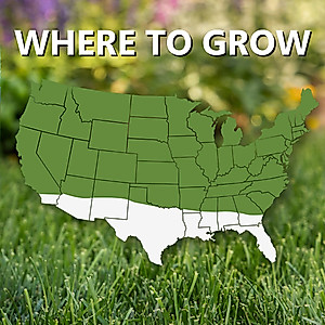 Jonathan Green (10820) Fast Grow Grass Seed - Cool Season Lawn Seed (3 lb)