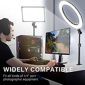 Dazzne 2-Pack Camera Desk Mount Stand with 1/4" Ball Head and Cold Shoe Mount Adapter,12.9-22" Tabletop Mounts Stand, Adjustable Aluminum Desktop Light Stand, for DSLR Camera, Ring Light, Video Light