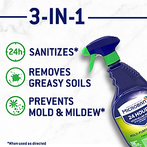 Microban Disinfectant Spray, 24 Hour Sanitizing and Antibacterial Spray, All Purpose Cleaner, Citrus Scent, 4 Count, 22 fl oz Each