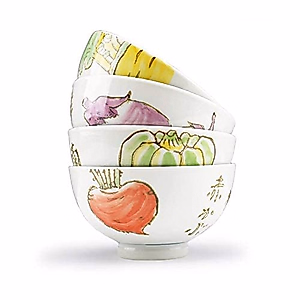 Set of 4 Porcelain Japanese Bowls W Gift Box for Ramen Noodle Udon Noodle Rice Vietnamese Soup Cereal Pho Popcorn Oatmeal (Vegetable)