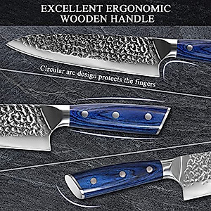 Chef Knife, 8 Inch Professional Kitchen Knife, High Carbon Stainless Steel Sharp Knife, Super Sharp Chefs Knives with Ergonomic Handle and Gift Box for Family and Restaurant, Chef gifts, Blue