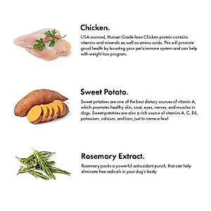 Pet Jerky Factory Premium Chicken and Sweet Potato 12 oz. Dog Jerky Treats | 100% Human Grade | USA Made | High Protein | Grain Free | Limited Ingredients | BHA-BHT Free | Soft-Tender