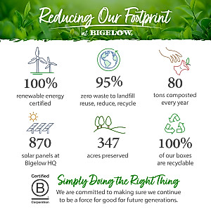 Bigelow Benefits Wellness Teas Variety Pack, Mixed Caffeinated Green Matcha & Caffeine-Free Herbal Tea, 18 Count (Pack of 6), 108 Total Tea Bags (Packaging May Vary)