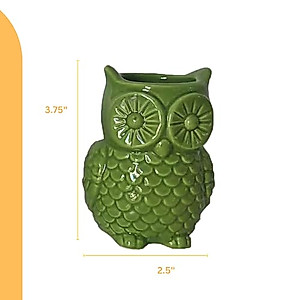 First of a Kind Owl Shaped Vases (Set of 4) - Ceramic Owl Succulent Planter Pots - Owls Gifts for Women - Owl Decor Vase - Farmhouse Stoneware Vases for Home Decor & Garden Gift