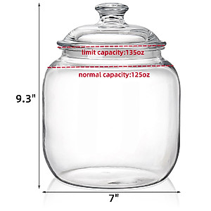 Goaste 135oz Acrylic Cookie Jar with Lid, Airtight Candy Jar Unbreakable, Clear Plastic Apothecary Jar with Silicone Sealing Ring for Dog Treats, Snack, Nuts, Chocolate, Sugar, Herbs, Spices, Cereals