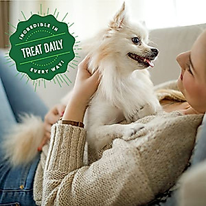 Greenies Teenie Natural Dog Dental Treats, Sweet Potato Flavor, 12 oz. Pack (43 Treats)