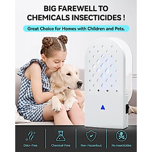 Double-Sided Glue Card Fly Trap Indoor with Plug-in UV Light, Noiseless Fruit Fly Traps for Indoors, Gnat Traps for House Indoor Pest Control, Sticky Mosquito Trap Flying Insect Trap Killer Catcher