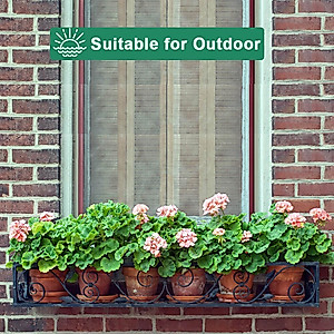 6 Inch Clay Pot for Plant with Saucer - 4 Pack Large Terra Cotta Plant Pot with Drainage Hole, Flower Pot with Tray, Terracotta Pot for Indoor Outdoor Plant