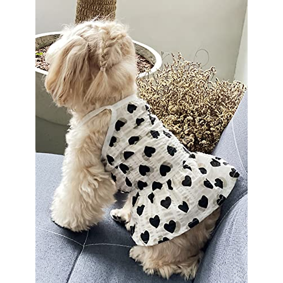 QWINEE Heart Print Dog Cat Dress Dog Princess Dresses Party Birthday Puppy Tutu Skirt Chihuahua Teddy Pomeranian Dress Pet Clothes for Small Medium Large Dogs Cats Kittens Black and White M