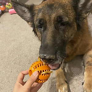 Jalousie Dog Puzzle Balls Dog Treat Dispensing Balls Non-Toxic Natural Rubber Dog Chew Toys for Puppy Pet Dog Teething Puzzle Playing Treat Dispenser Rope Balls (Large - 6 Pack)