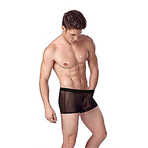 Evankin Men's Sexy Mesh Boxer Briefs Transparent Lingerie Black Mesh Transparent Bulge Pouch Valentines Underwear(45Black,XXL)