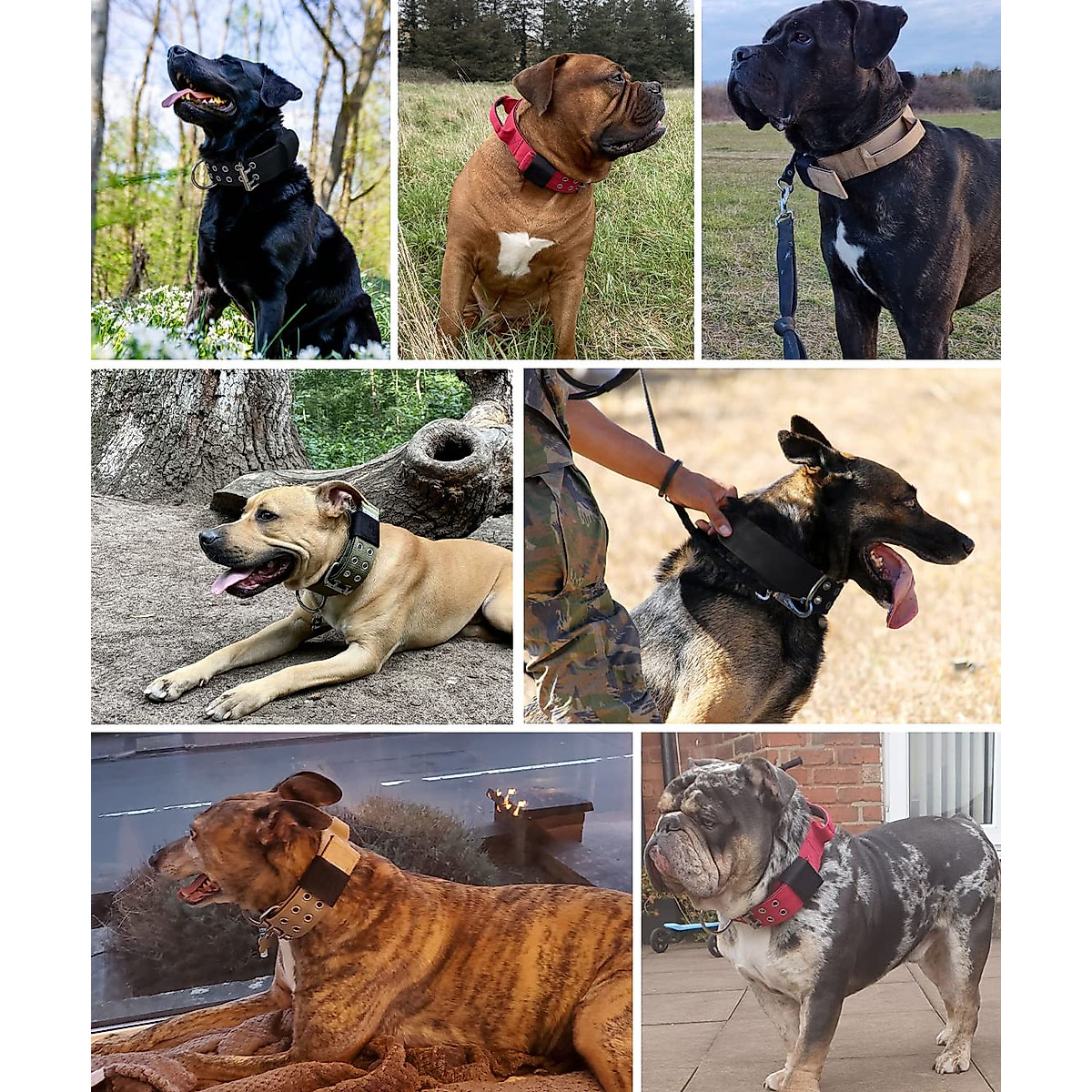 Large Dog Collar Heavy Duty - 2 inch Wide with Handle for Extra Large Breed Dogs, 1/3" Thick Nylon Chew Proof Tactical Collar, Good Choice for German Shepherd,Pitbull,Rottweiler 17"-22"