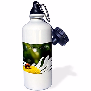 3dRose "Inspirational Ladybug" Sports Water Bottle, 21 oz, White