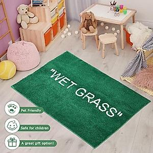Alivora Wet Grass Rug for Bedroom-Non Slip Wet Grass Carpet for Living Room-Green Grass Rug is Machine Washable Home Floor Mat-Premium Area Rug for Home Decor [47.2 x 31.5]