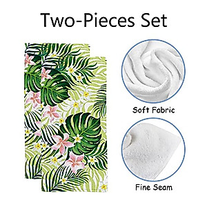 BVOGOS Bath Hand Kitchen Towels Tropical Flowers Palm Leaves Green Face Towel Washcloth 2 Pack Soft Quick Dry Super Absorbent Bathroom