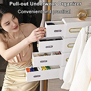 ACGrade Underwear Organizer,Wall Mounted Sock Organizer,Underwear Storage Organizer,Socks Organizer for Drawer,Underwear Organizer for Closet, 38x8x12cm
