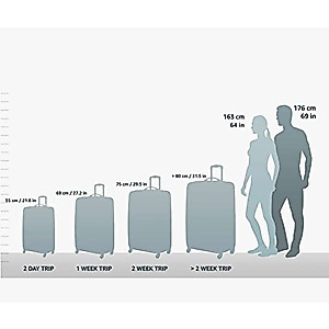 DELSEY Paris Softside Expandable Luggage with Spinner Wheels, Black. Large and Carry-On.