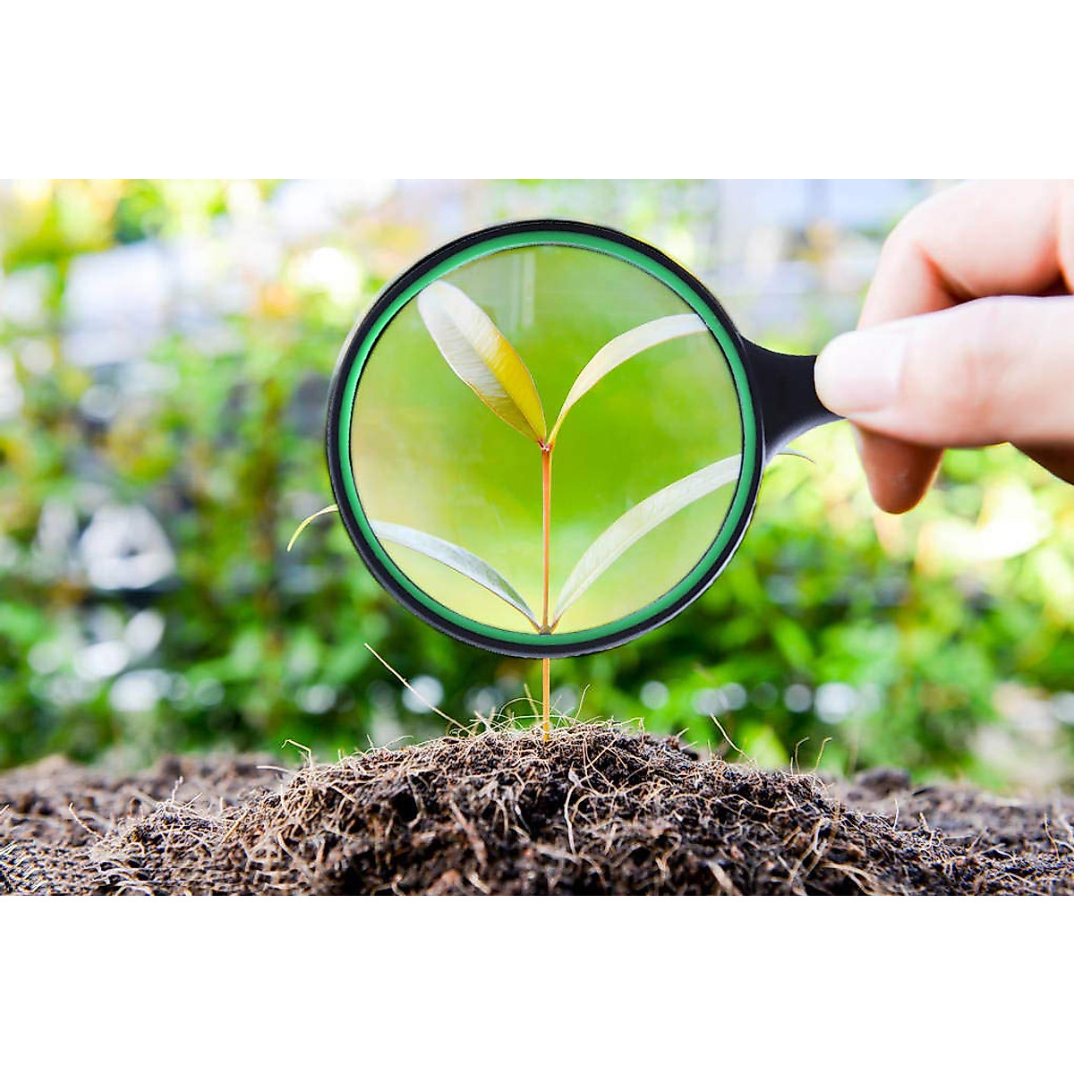 TANCH 5X Magnifying Glass Handheld Magnifier with Large 100mm Magnifying Glass Lens and Non-Slip Rubber Handle for Senior and Kids (1PC Green)