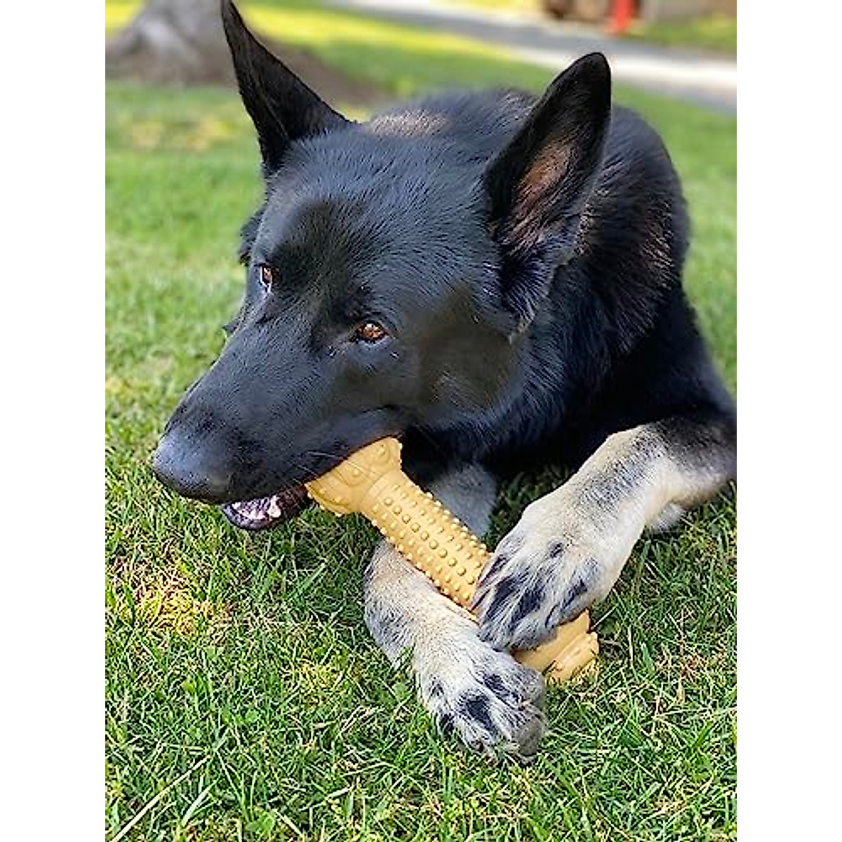 Nylabone Barbell Power Chew Durable Dog Toy Peanut Butter XX-Large/Monster (1 Count)