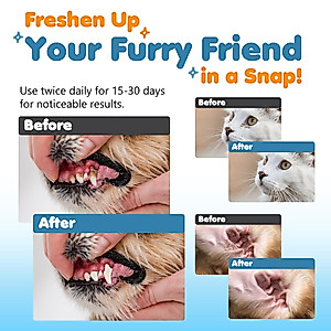 OOHAYA 3-in-1 Pet Finger Wet Wipes for Dogs & Cats, Soft Disposable Finger Wipes for Eye, Ear, & Dental Care, Freshen Breath with Dental Finger Wipes, Pack of 50