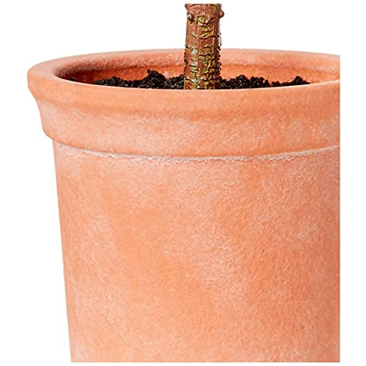 Amazon Brand - Stone & Beam Artificial Olive Tree Topiary with Faux Terracotta Pot, 2.4 Feet (28.8 Inches), Indoor