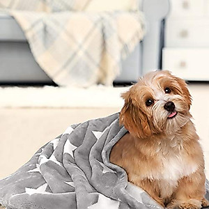 HYSEAS Flannel Fleece Star Throw Blanket Grey - Soft Plush Cozy Fuzzy Microfiber Blanket for Couch, Bed, Chair, Sofa - All Seasons Lightweight - 50x60 Inch