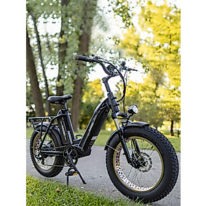 HAOQI Antelope Black Electric Bike for Adults 48V 25AH Removable Dual Lithium Battery, 750W Motor, 20" x 4.0 Fat Tire Step-Thru Ebike up to 28MPH, 7-Speed