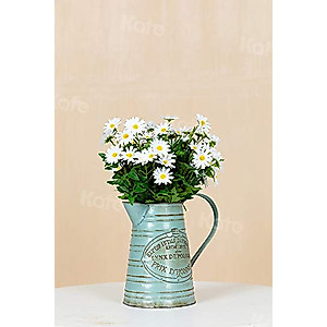 Kate 10ft×12ft Solid Beige Backdrop Portrait Photography Background for Photography Studio Children and Headshots Beige Backdrop Background for Photography Photo Booth