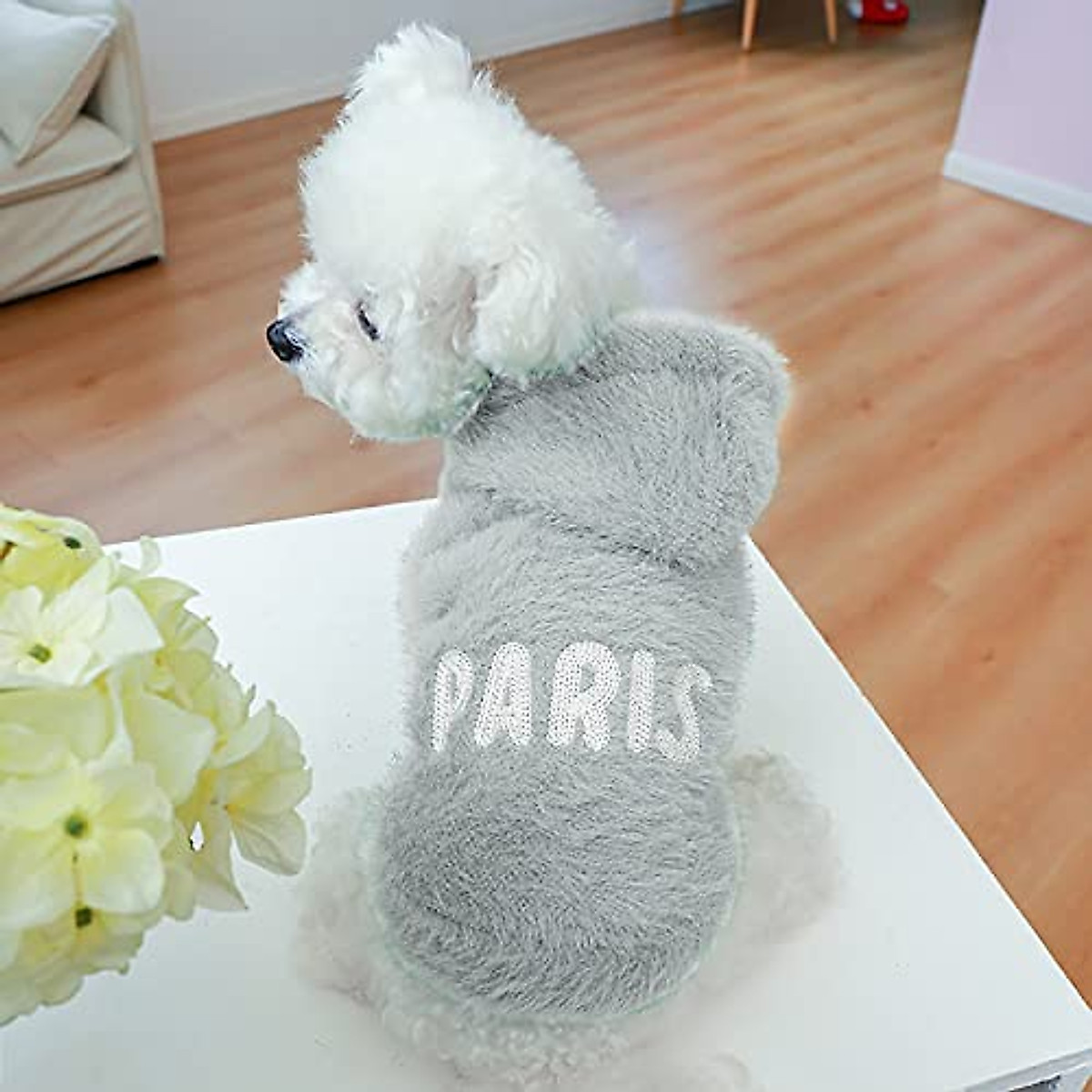 HonpraD Dog Sweaters for Small Dogs Boy Pet Hooded Sweatshirt Pure Color Plush Warm Coat Cat Letter Warm Clothes Small Dog Sweaters for Girls Snaps Or Zipper