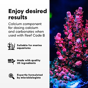 Brightwell Aquatics - Reef Code A - Balanced Calcium & Alkalinity System Water Conditioner - For All Saltwater Marine Fish & Reef Fish Tanks - Aquarium Water Treatments, 8.45 fl oz