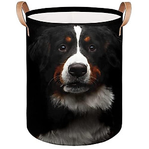 Bernese Mountain Dog Animals Collapsible Laundry Basket Large Laundry Hamper Waterproof Foldable Storage Bins Laundry Basket with Leather Handles Clothes Nursery Hampers for Bathroom Bedroom Toy Organizer