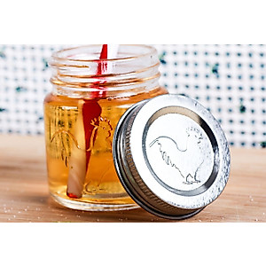 The Rooster Mason Jar Shot Glasses Set - Mini Mason Jars with Lids Featuring Unique Rooster Design (10 Pack)