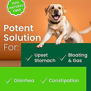 BARK&SPARK Pumpkin for Dogs - Apple, Pumpkin Seeds and Pumpkin Fruit - Fiber Supplement and Stool Softener - Diarrhea, Constipation, Upset Stomach, Food Sensitivity - Improve Digestion - 6oz Flavored