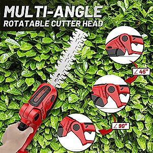 Dragro Cordless Grass Shears, 2 in 1 Electric Mini Hedge Trimmer Cordless, Handheld Grass Hedge Cutter Clippers, Battery Operated Weed Hedge Trimmer with 2Pcs 24V 2.0Ah Batteries and Charger Included