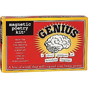 Genius-Magnetic Poetry Kit