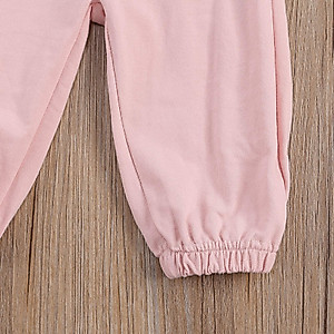 Honganda 2Pcs Toddler Baby Girl Plain Solid Sweatshirt Pullover Tops Drawstring Sweatpants Joggers Casual Fall Winter Outfit Set (Pink, 2-3T)