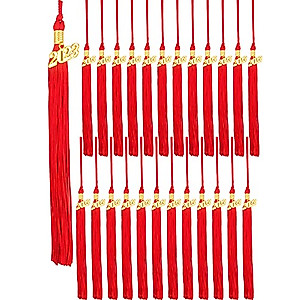 Fahacop 25 Pack 2023 Graduation Tassels Graduation Cap Tassel Charm Academic Graduation Tassels with Gold Date Charm for 2023 Year Graduation Party Ceremony (Red)