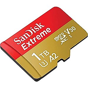 SanDisk Extreme 1TB Memory Card for GoPro Action Camera Hero 11 Black and Hero11 Black Mini (SDSQXAV-1T00-GN6MN) V30 A2 UHS-I U3 Class 10 Bundle with 1 Everything But Stromboli MicroSDXC Card Reader
