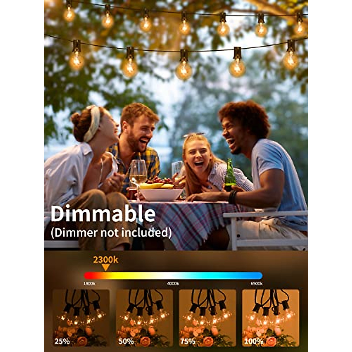 AVANLO Outdoor String Lights 100FT 2-Pack, Dimmable G40 Globe Patio String Lights with 54 Edison Bulbs Waterproof Hanging Outside Lights for Patio Backyard Bistro Wedding Cafe Party Christmas Decor