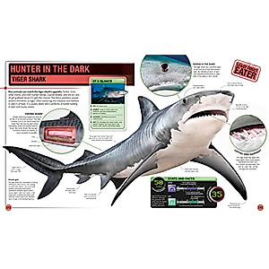 Super Shark Encyclopedia: And Other Creatures of the Deep (DK Super Nature Encyclopedias)