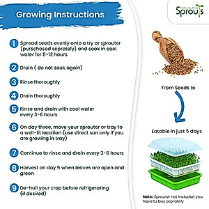 Nature Jims Alfalfa Sprout Seeds – 16 Oz Organic Sprouting Seeds – Non-GMO Premium Alfalfa Seeds – Resealable Bag for Longer Freshness – Rich in Vitamins, Minerals, Fiber