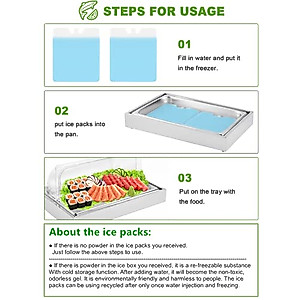 YMJOINMX Ice Food Serving Display Tray with Clear Roll Top Cover Buffet Cold Serving Cooler Platter w/ 2 Ice Packs Cooling Food Dishes Display Plate Case with Lid for Seafood Fruit Party Buffet Tray