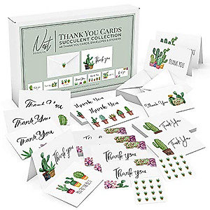 Cactus Thank You Cards with Envelopes for Thank You Notes! Bulk Set of 48 Blank Gift Cards with Envelopes for Baby Shower Note Cards, Watercolor Wedding Thank You Cards and Bridal Shower Thankyou Card