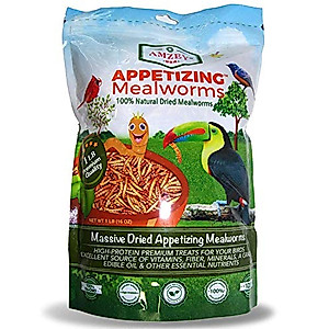 Amzey Dried Mealworms 1 LB, 100% Natural for Chicken Feed, Bird Food, Fish Food, Turtle Food, Duck Food, Reptile Food, Non-GMO, No Preservatives, High Protein and Nutrition, Zipped Bag